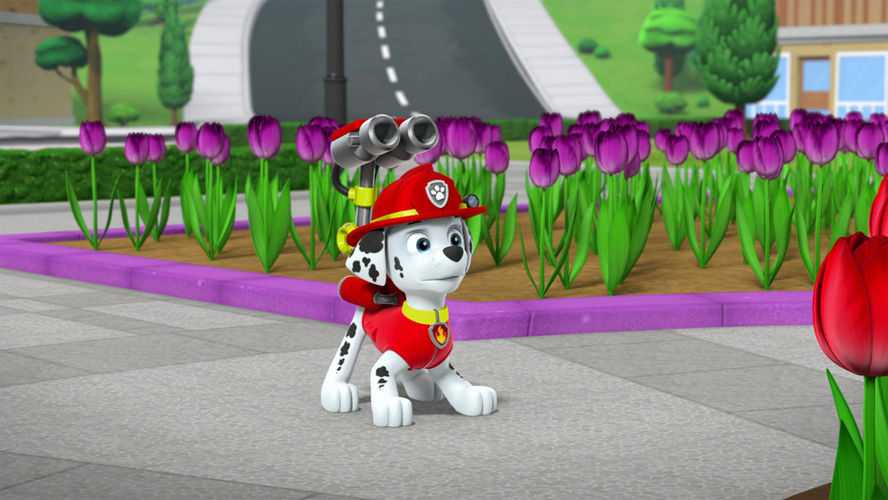 PAW Patrol: Everest - The Snowy Mountain Pup [DVD] — MyShopville