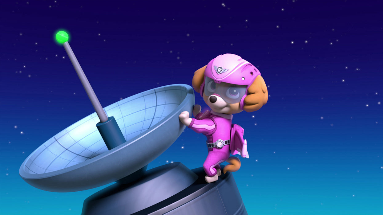 PAW Patrol: Everest - The Snowy Mountain Pup [DVD] — MyShopville