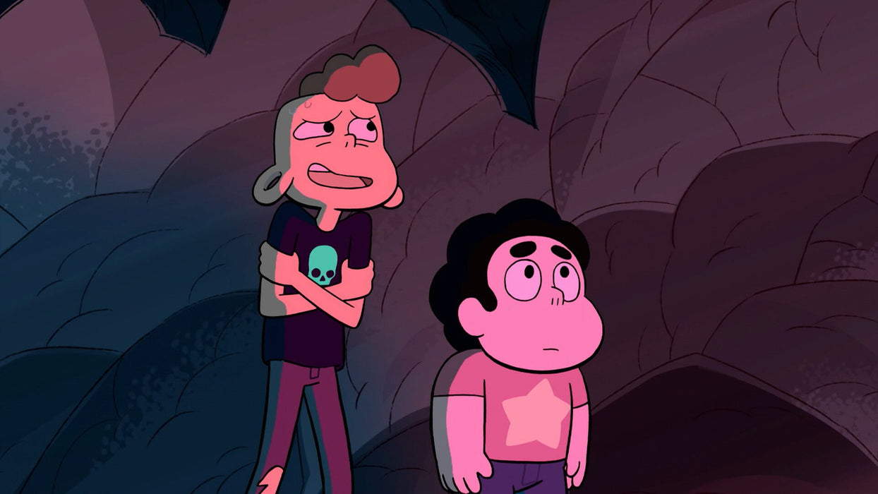 Steven Universe: The Complete Collection - Seasons 1-6 [DVD Box Set ...